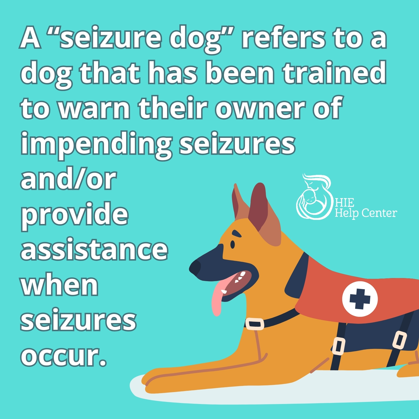 Seizure Dogs: How Can They Help? | HIE Help Center