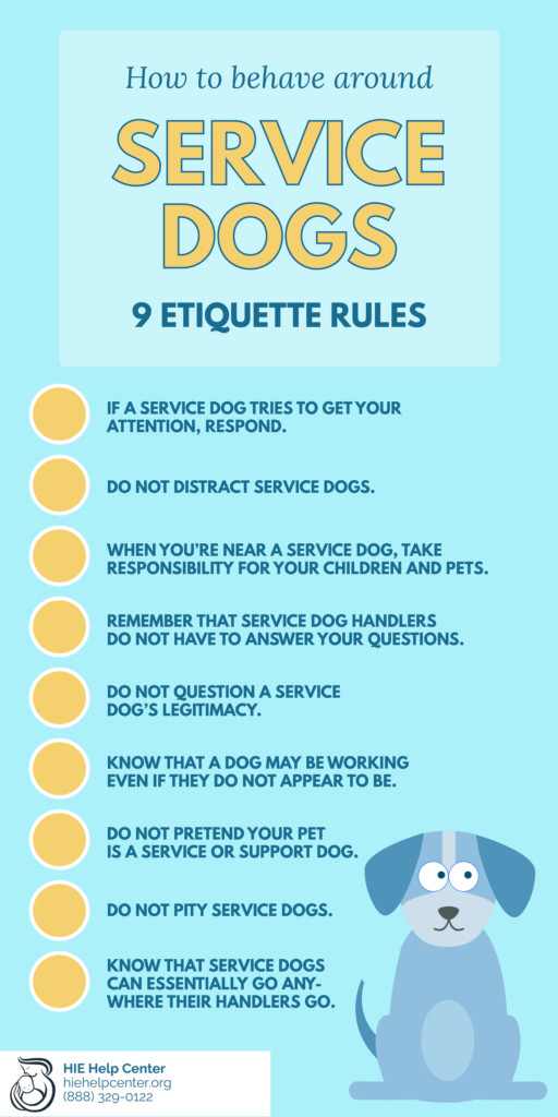 How To Behave Around Service Dogs HIE Help Center how-to-behave-around-service-dogs-hie-help-center