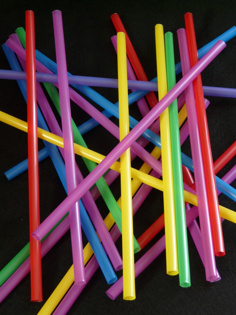 The Straw Ban: Environmental Concerns versus Disability Rights