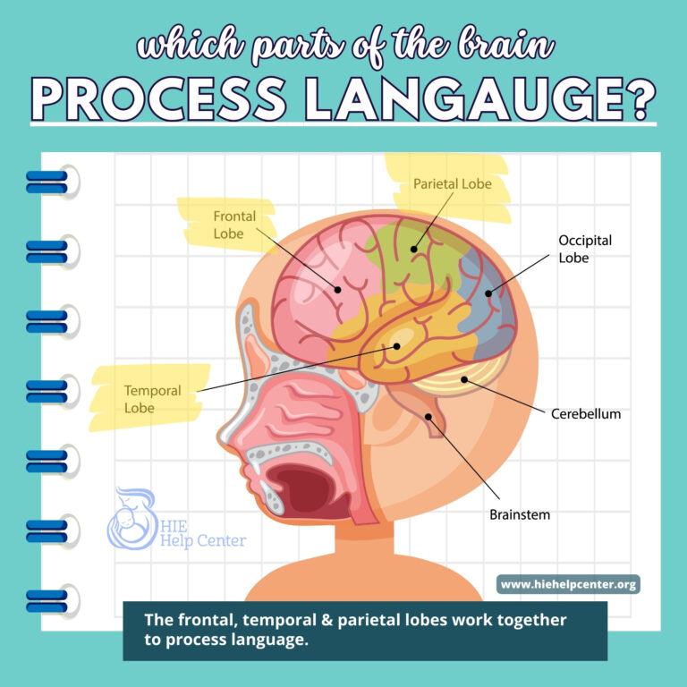 Speech Delays and Language Disorders | HIE Help Center